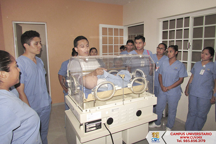 Centro Universitario Valladolid | Campus Universitario